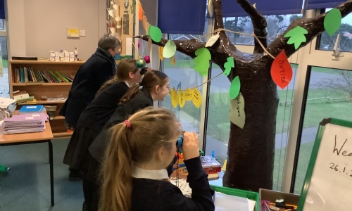 Nelson Academy - Latest News